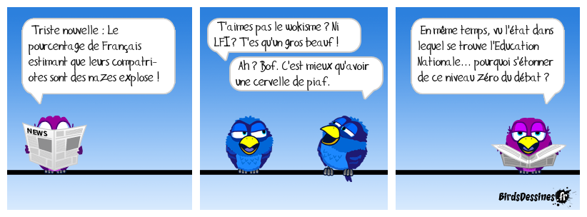 BirdsDessines.fr | Partagez vos Birds Dessinés