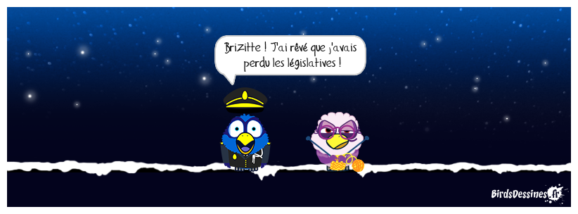 BirdsDessines.fr | Partagez vos Birds Dessinés