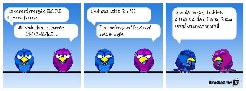 Ne pas CONfondre « faux-con » et pygargue à tête blanche